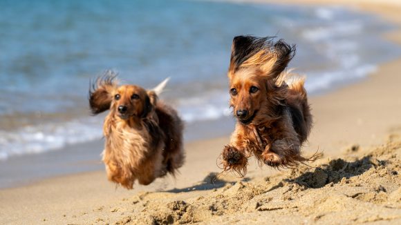 Mablethorpe Beach - Mablethorpe Online